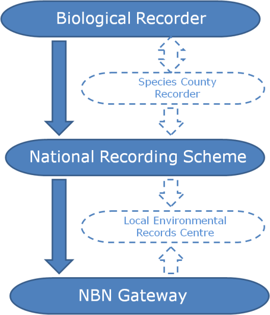 Data-Flow – The journey of a record – Biological Recording