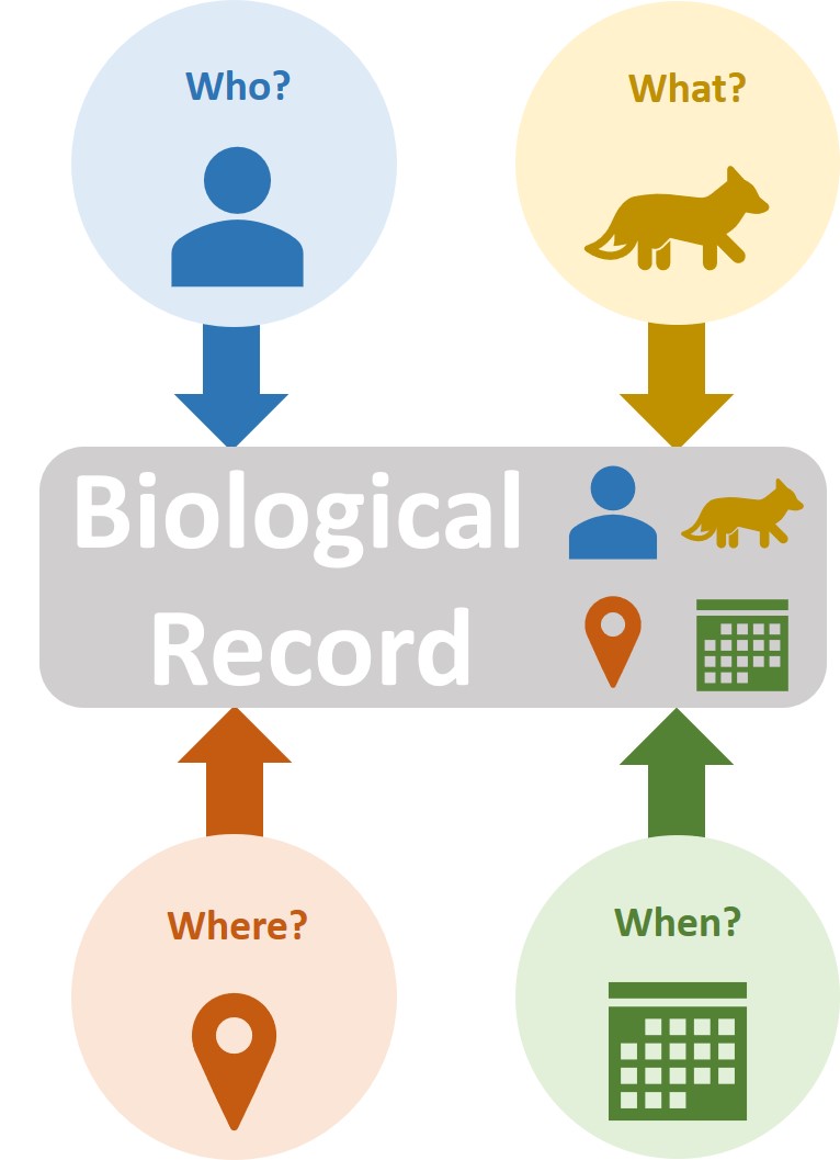 What is a biological record? – Biological Recording