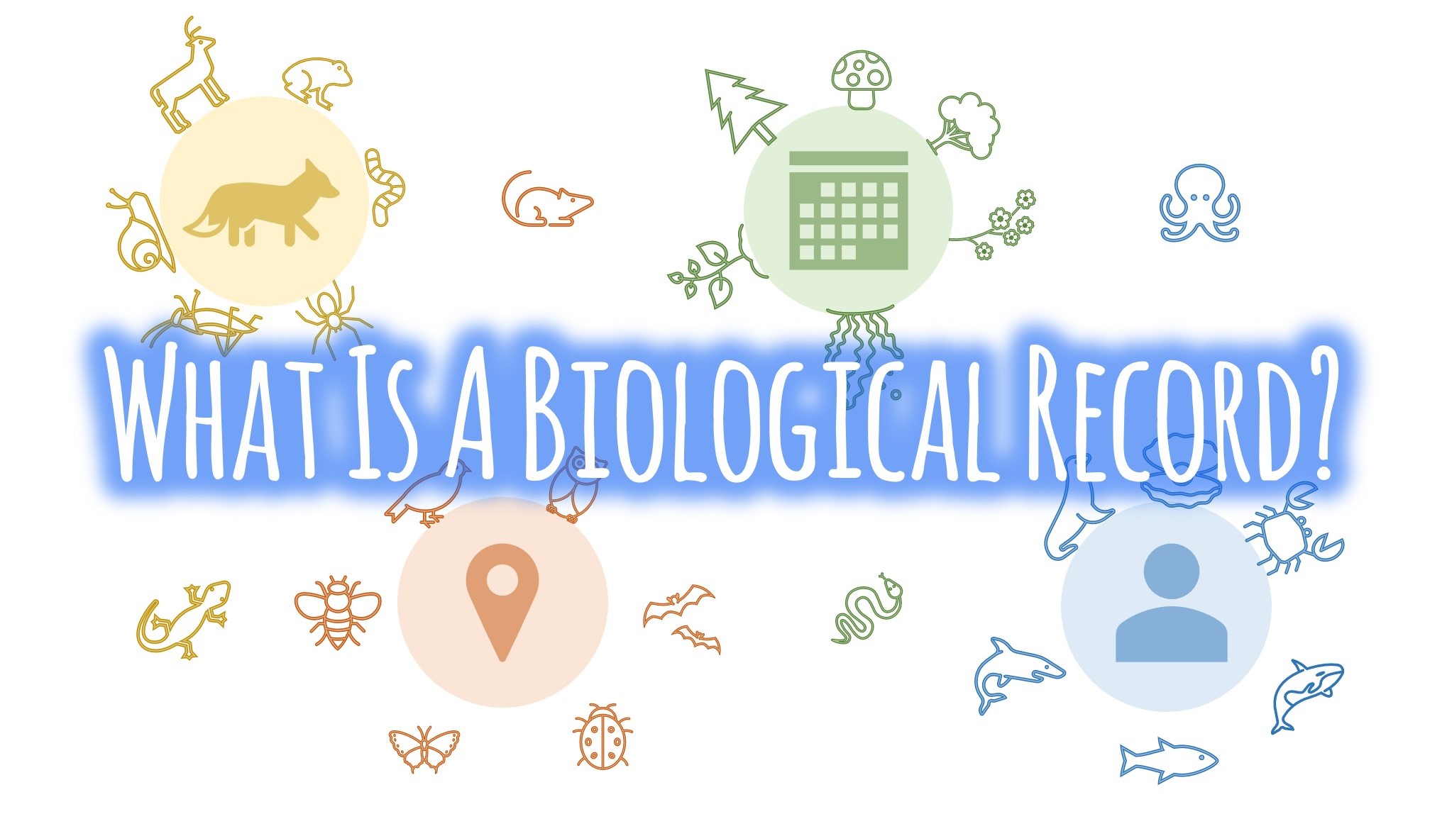 Biological Recording – Providing biological recording guidance ...