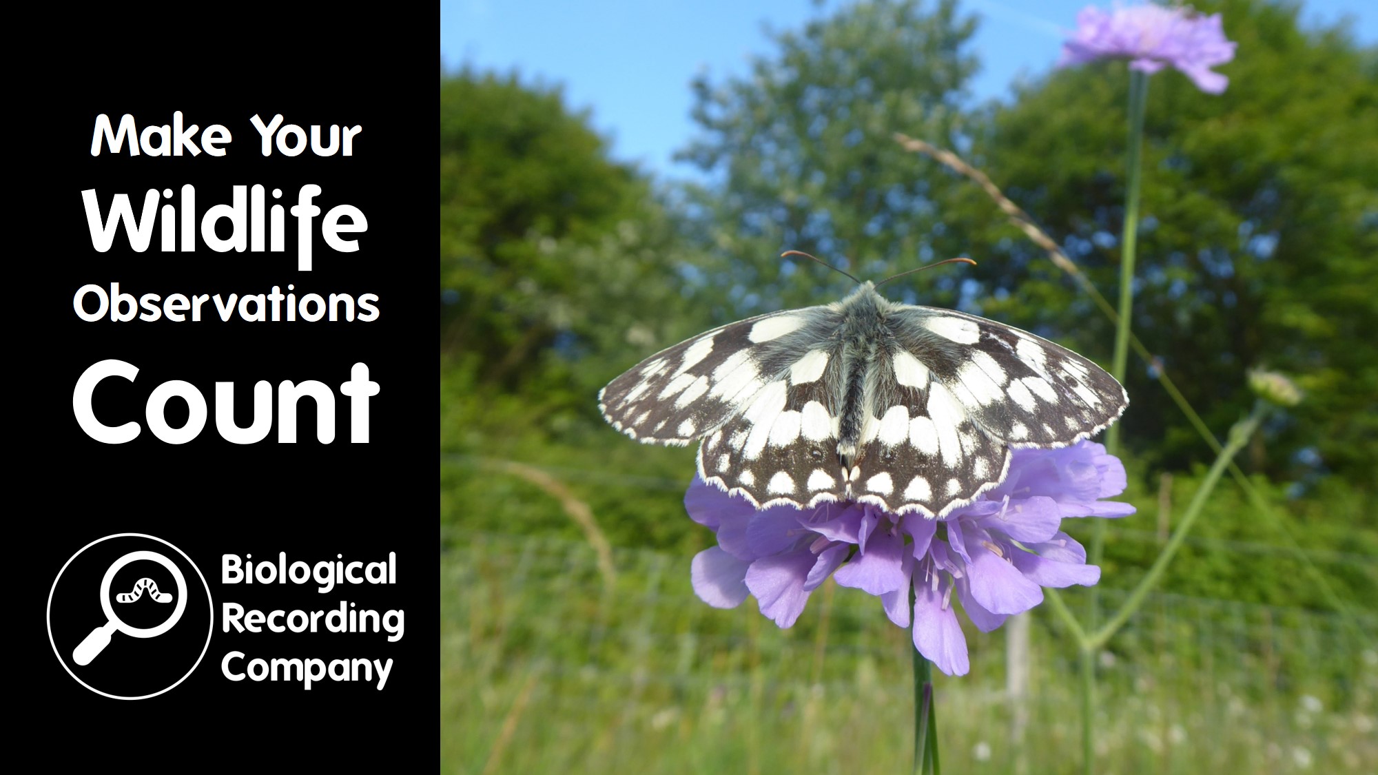 Make Your Wildlife Observations Count – Biological Recording