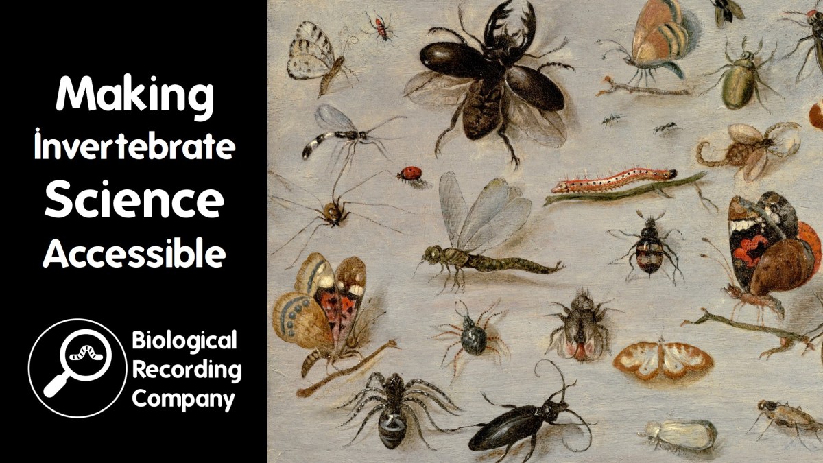 Making Invertebrate Science Accessible – Biological Recording