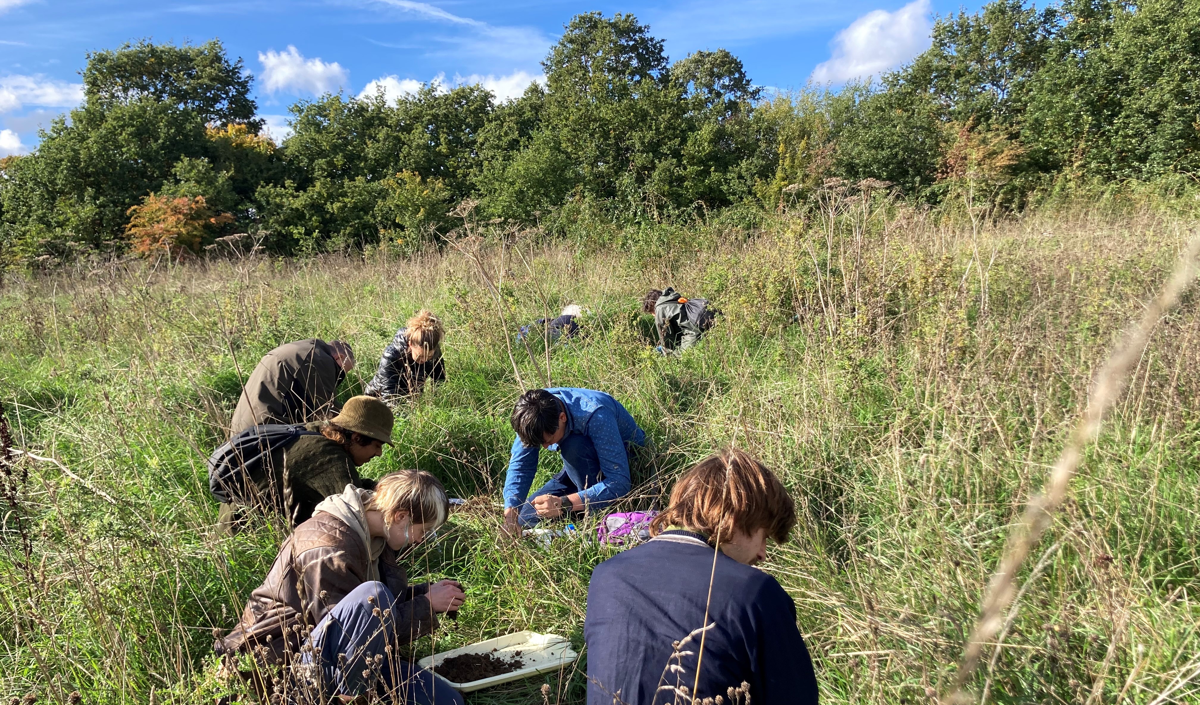 2022 National Earthworm Recording Scheme Review – Biological Recording