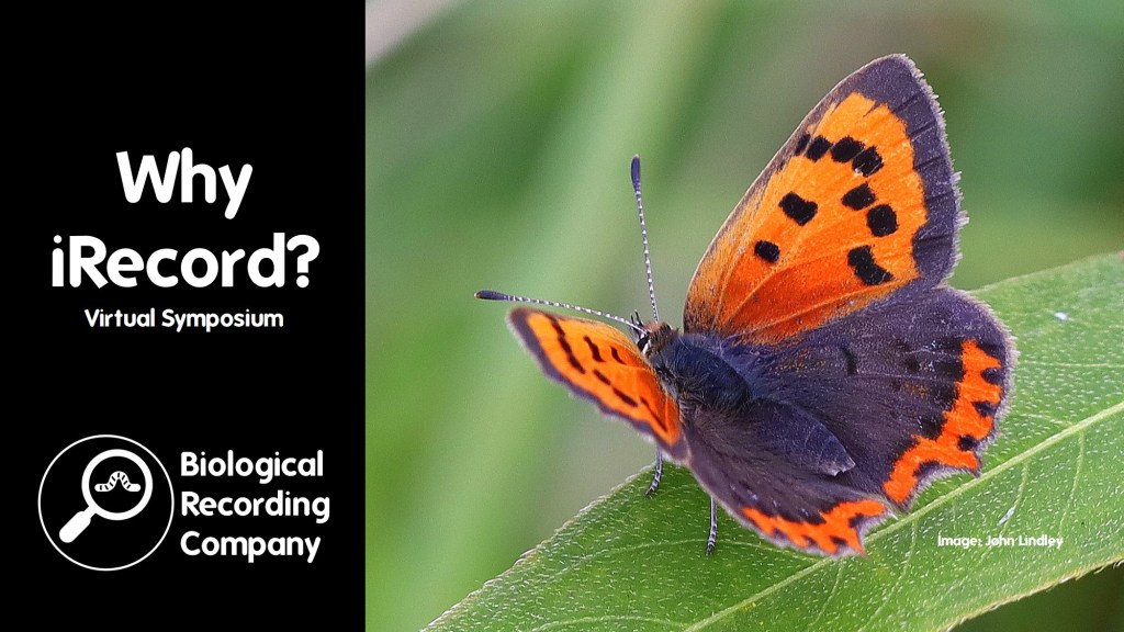 iRecord: An Introduction – Biological Recording
