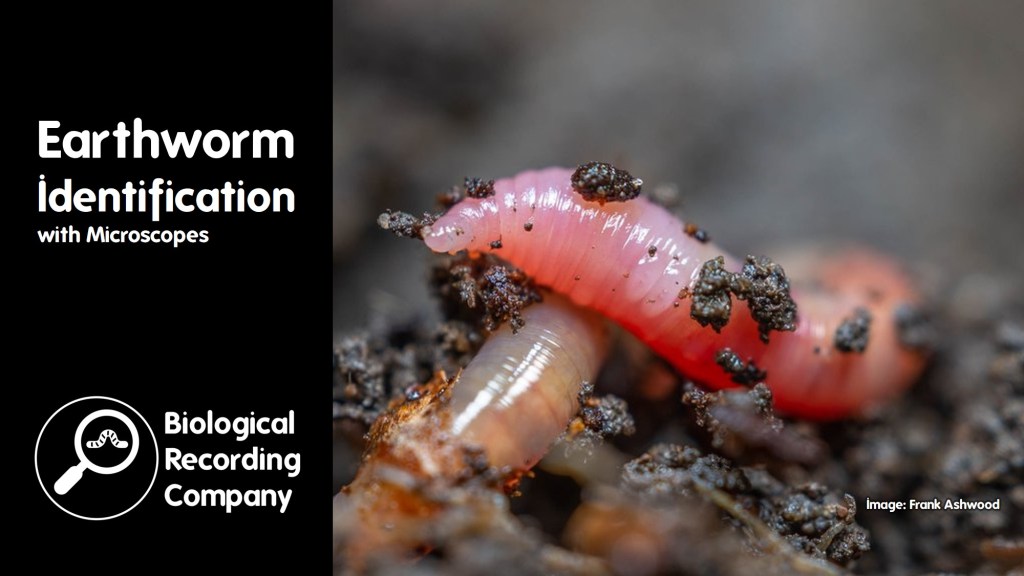 Training Courses – Biological Recording