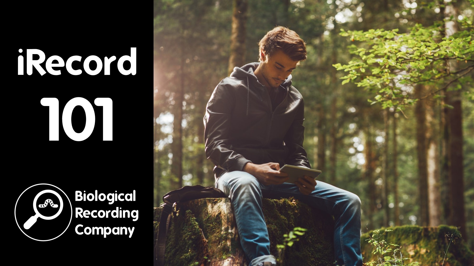 Biological Recording Training & Services – Biological Recording