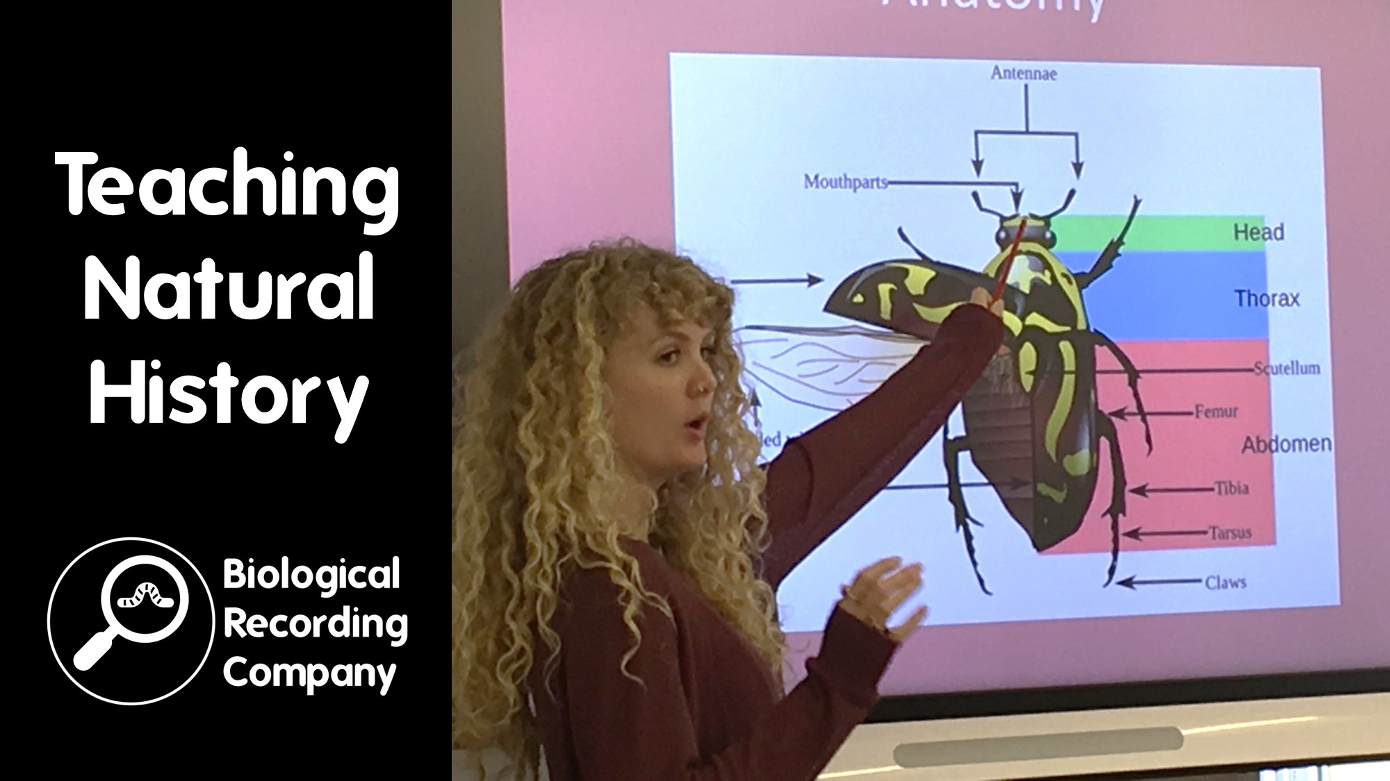 Training Courses – Biological Recording