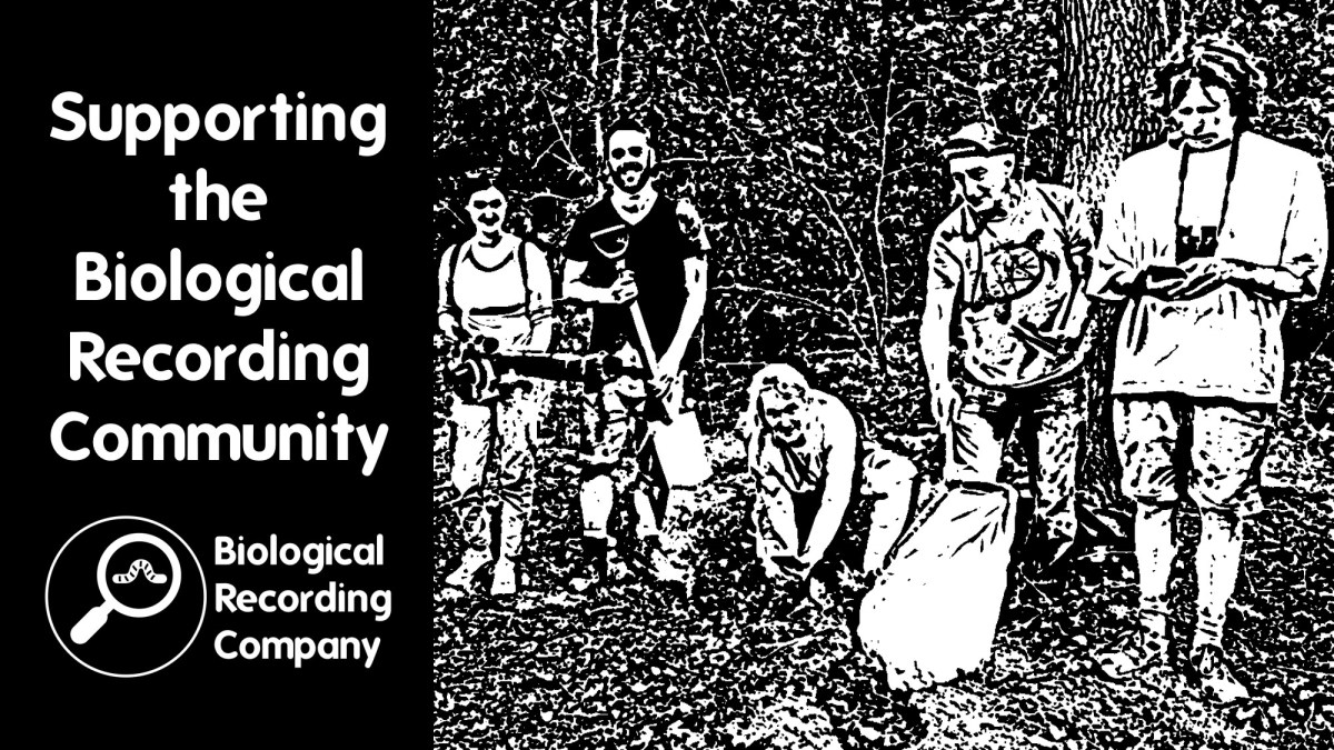Supporting the Biological Recording Community – Biological Recording