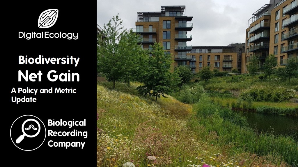 Biodiversity Net Gain: A Policy and Metric Update – Biological Recording