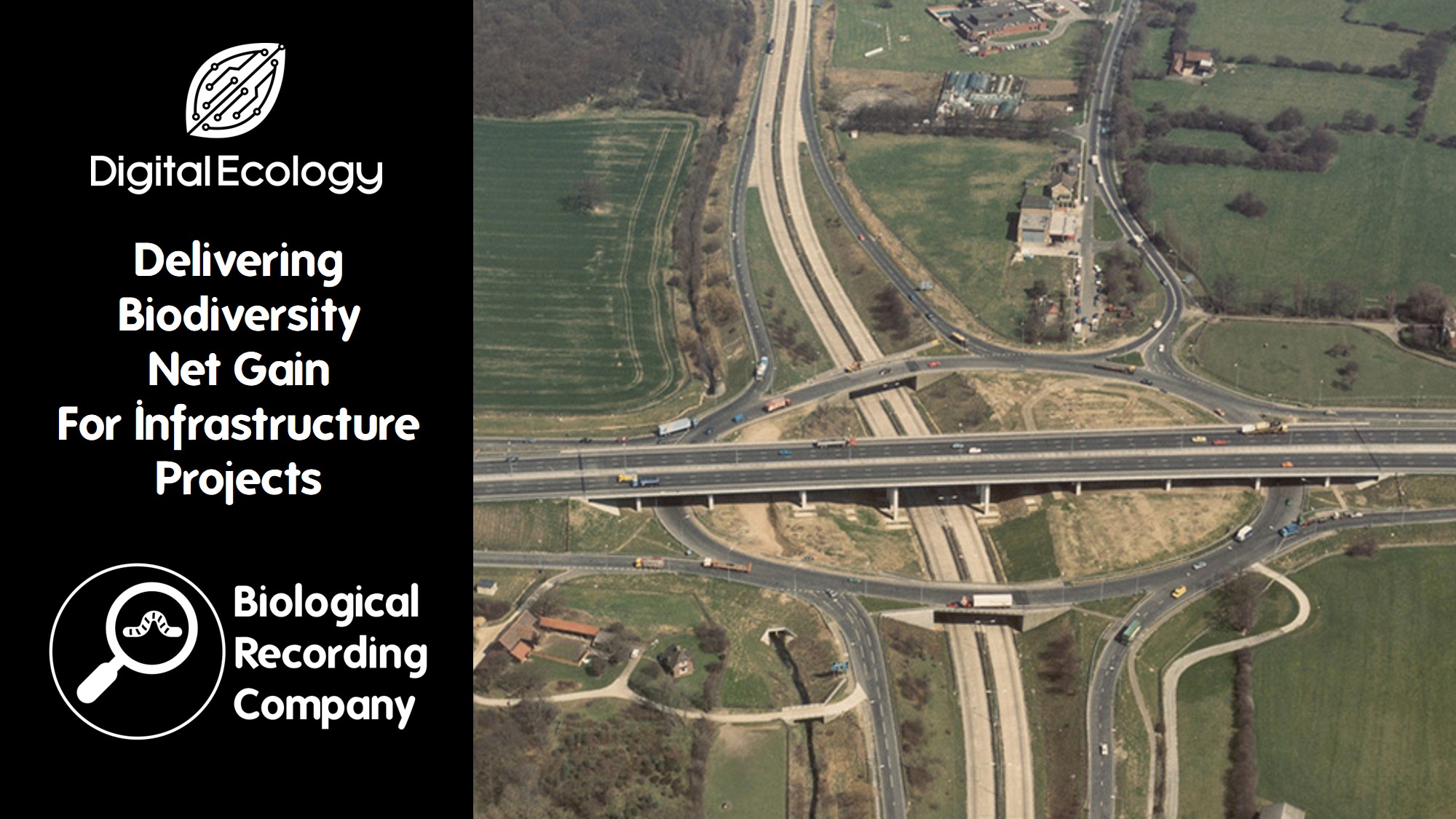 Delivering Biodiversity Net Gain for Infrastructure Projects ...