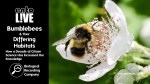 The Mind of a Bee: An Exploration of the Intelligence of Bees ...
