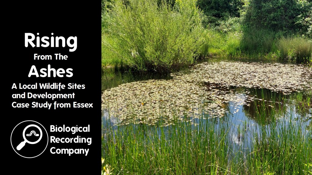 Biodiversity Net Gain – Biological Recording