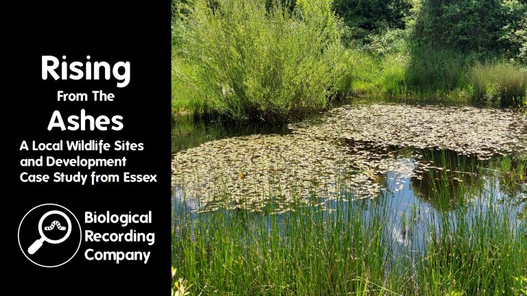 Biodiversity Net Gain – Biological Recording