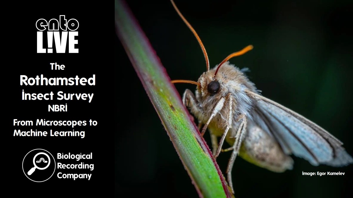The Rothamsted Insect Survey NBRI: From Microscopes to Machine Learning ...