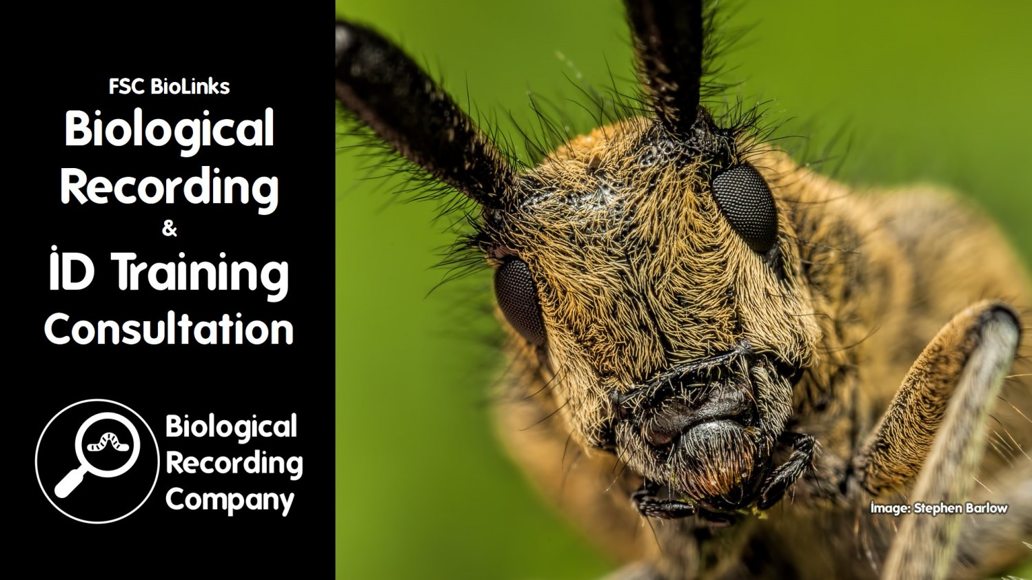 iRecord: An Introduction – Biological Recording