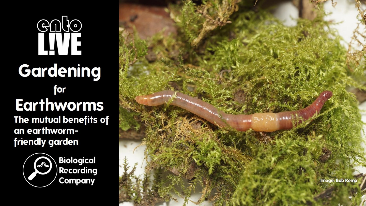 Sequencing British Earthworms – Biological Recording
