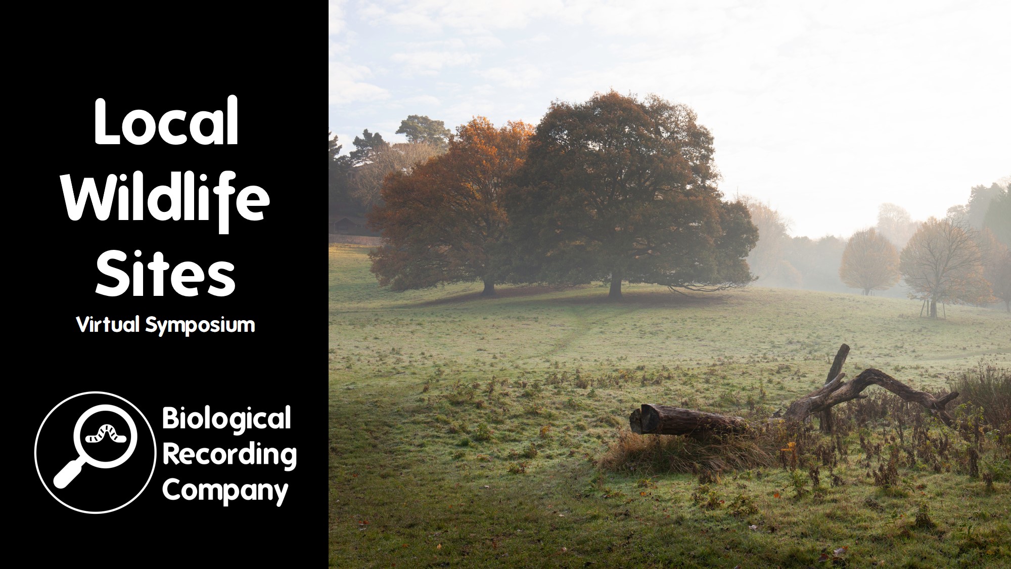 Can Passive Acoustic Monitoring of Birds Replace Site Surveys ...