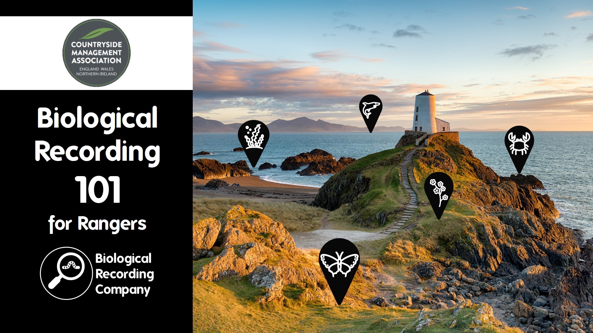 Local Nature Recovery Strategies: Update and Challenges – Biological ...