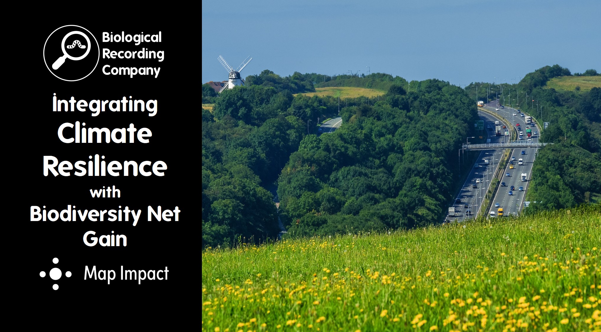 Biodiversity Net Gain – Biological Recording