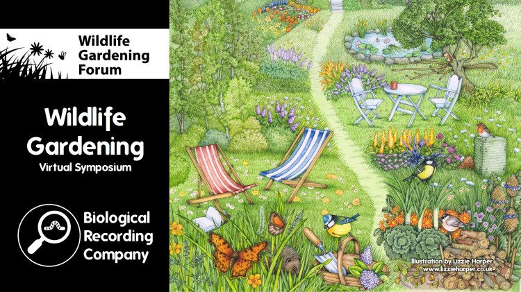 Identiplant: A Unique Tutor-led Online Botany Course – Biological Recording