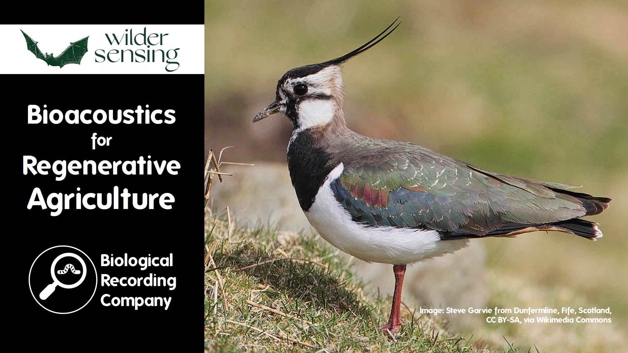 The Field Identification Skills Certificate: Assessing Botanical ID ...