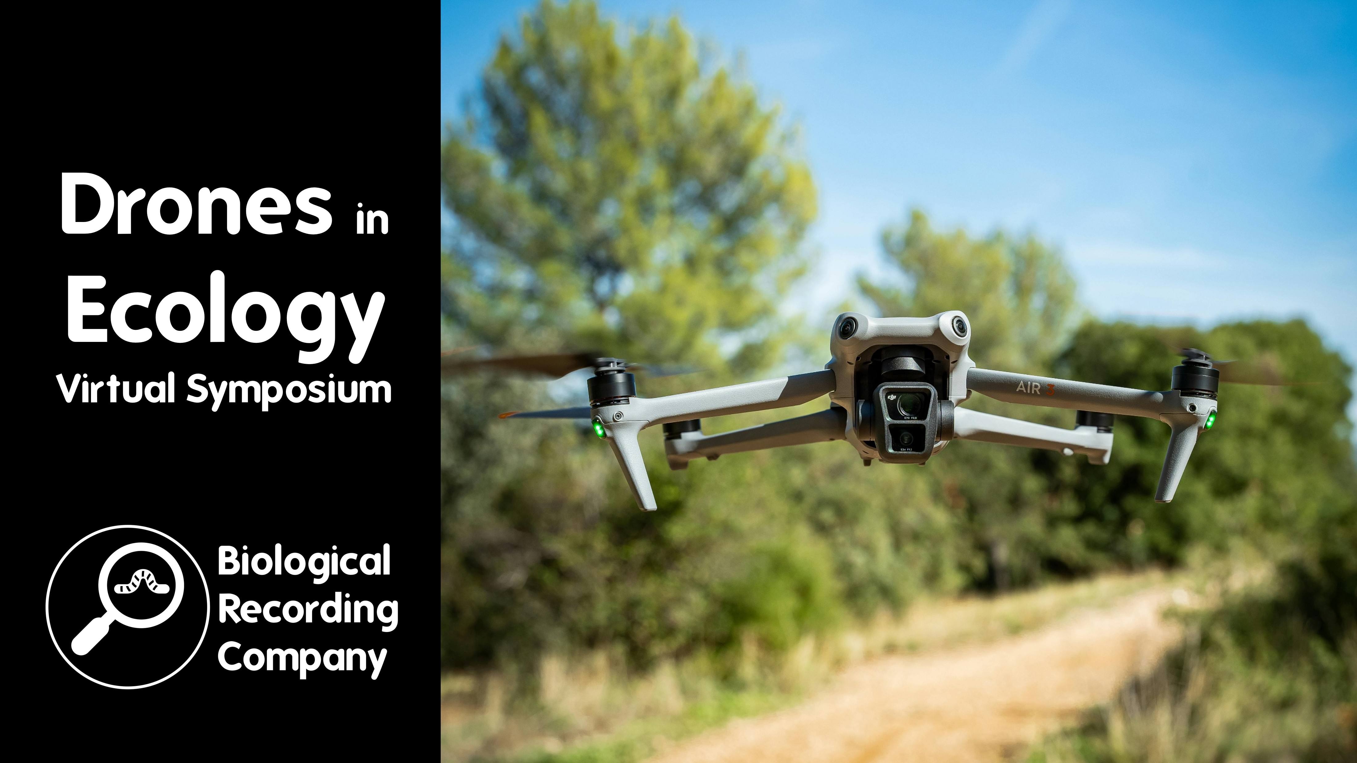 AI-powered Bioacoustics with BirdNET – Biological Recording