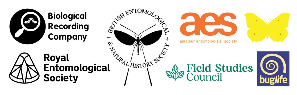 Leeches: Life History and Identification – Biological Recording