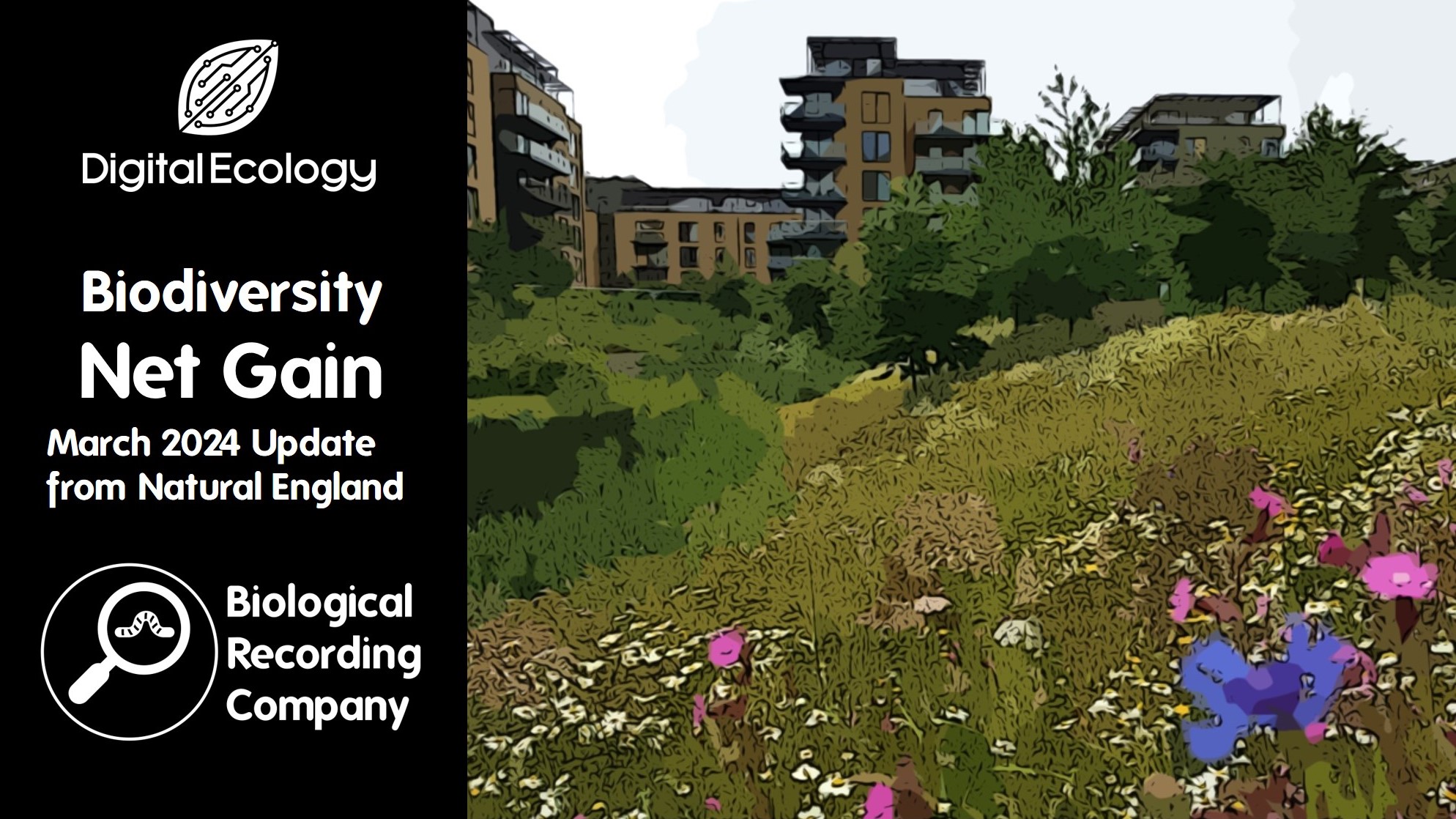 Biodiversity Net Gain: March 2024 Update from Natural England ...