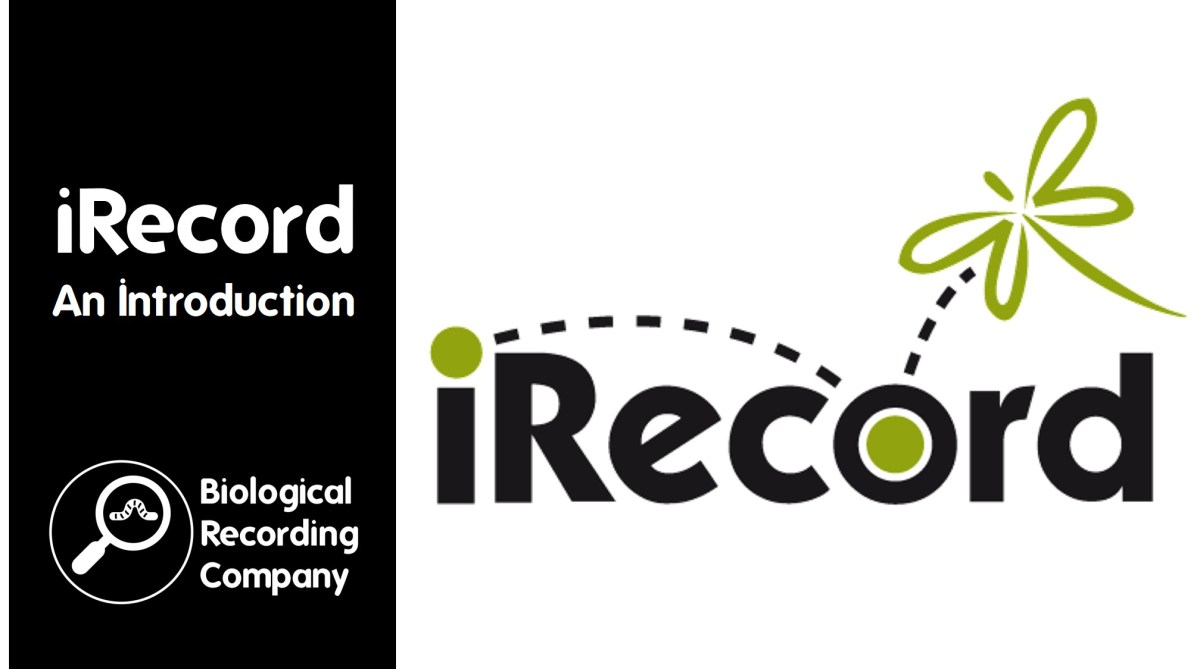 iRecord: An Introduction – Biological Recording