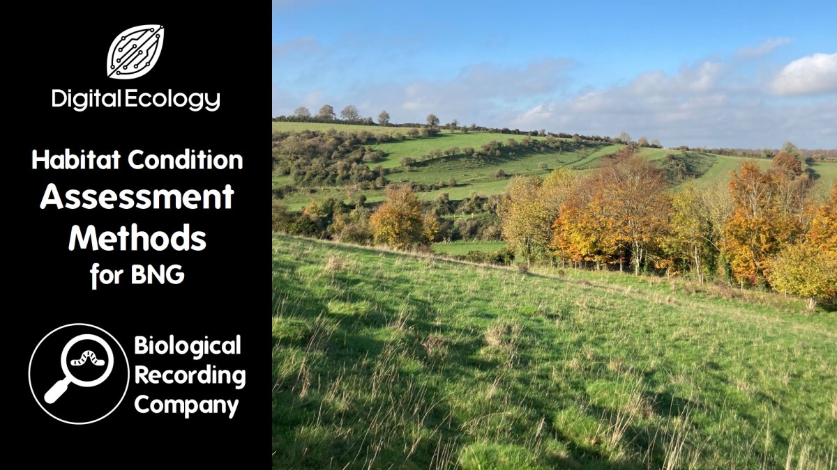 Habitat Condition Assessment Methods for BNG – Biological Recording