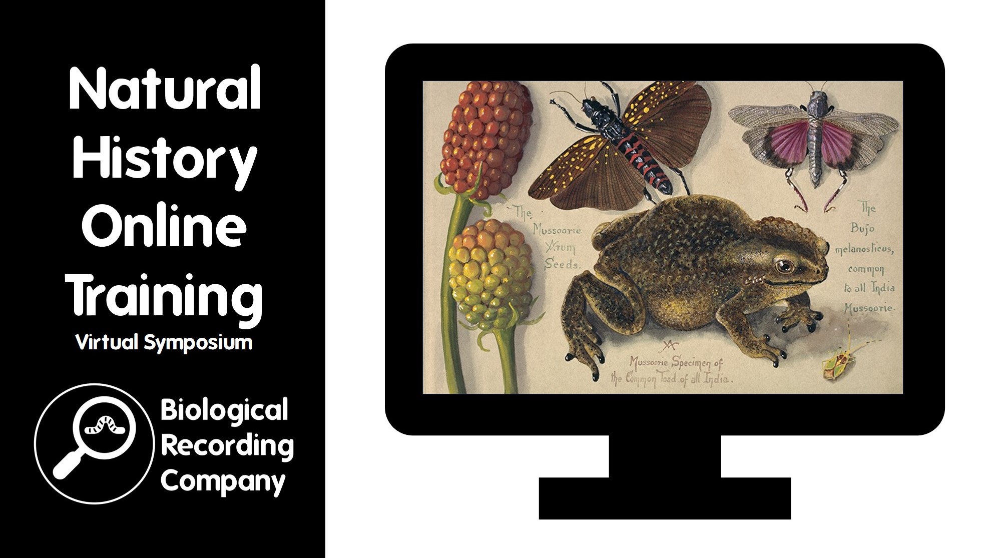 Biological Recording – Providing biological recording guidance ...