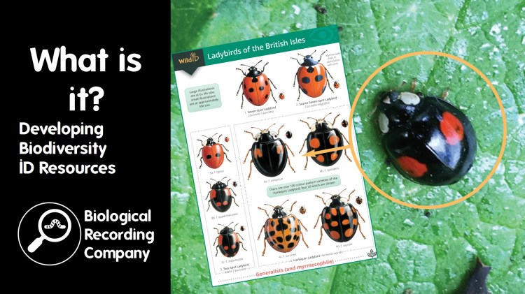 What is it? Developing Biodiversity identification Resources ...