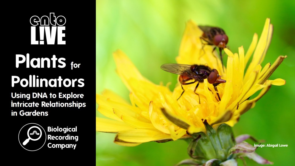Plants for Pollinators: Using DNA to Explore Relationships in Gardens ...
