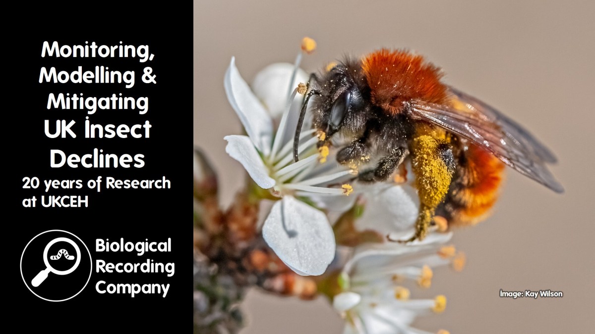 Monitoring, Modelling and Mitigating UK Insect Declines: 20 Years of ...