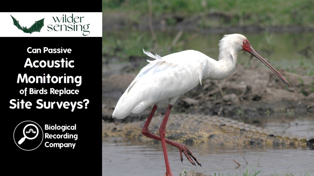 Can Passive Acoustic Monitoring of Birds Replace Site Surveys ...