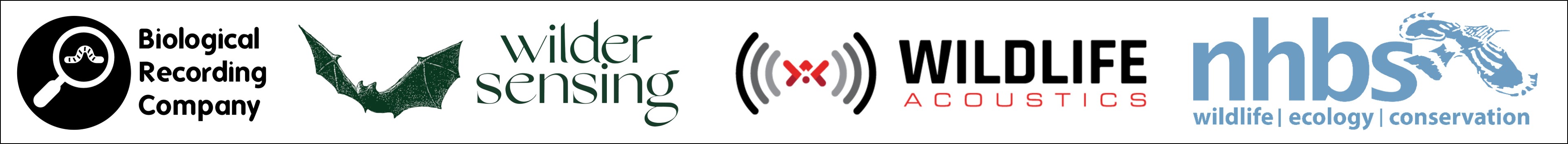 The Wilder Sensing Guide to Mastering Bioacoustic Bird Surveys ...