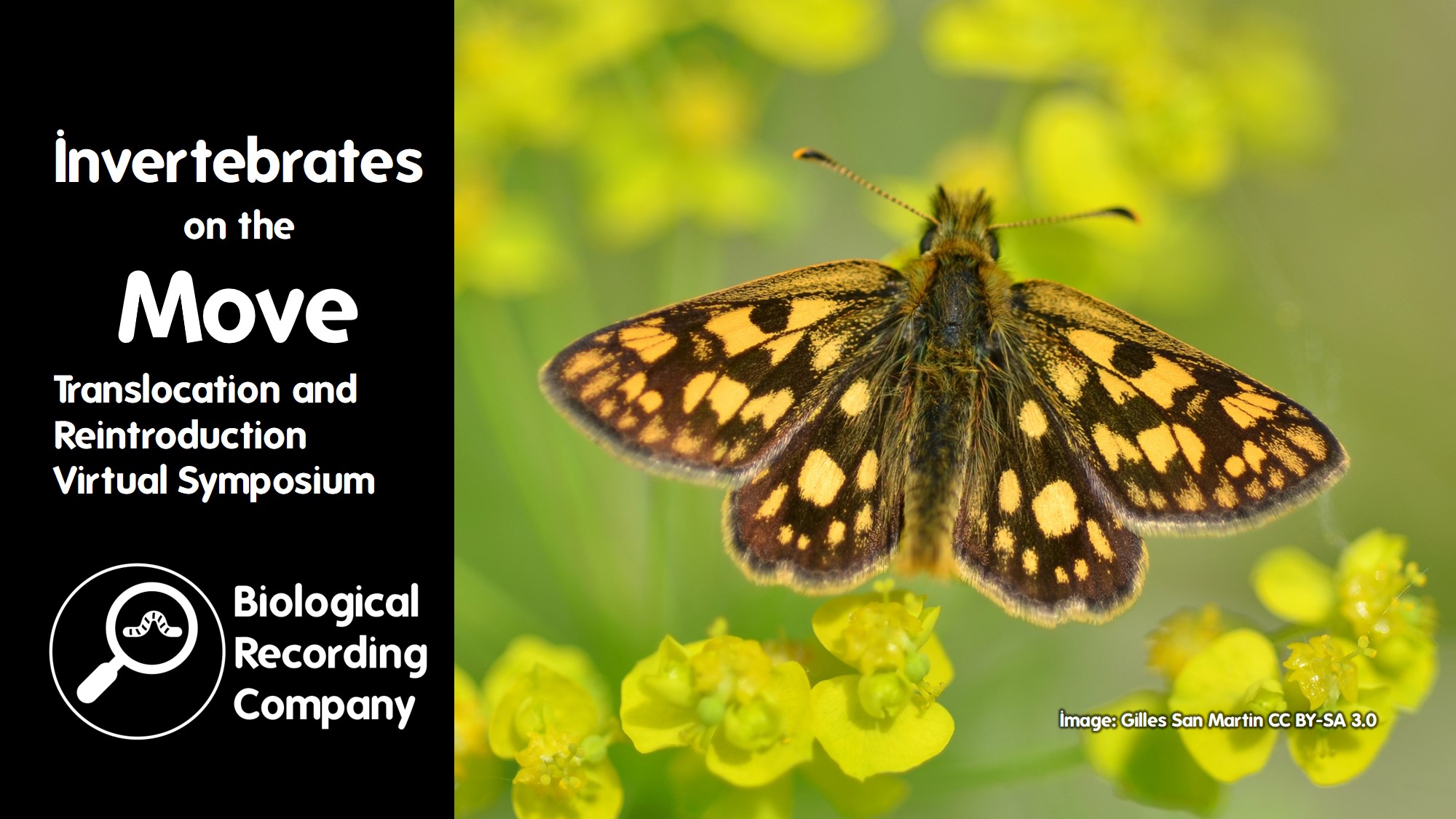 The Field Identification Skills Certificate: Assessing Botanical ID ...