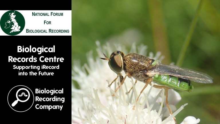 Biological Records Centre: Supporting iRecord into the Future ...