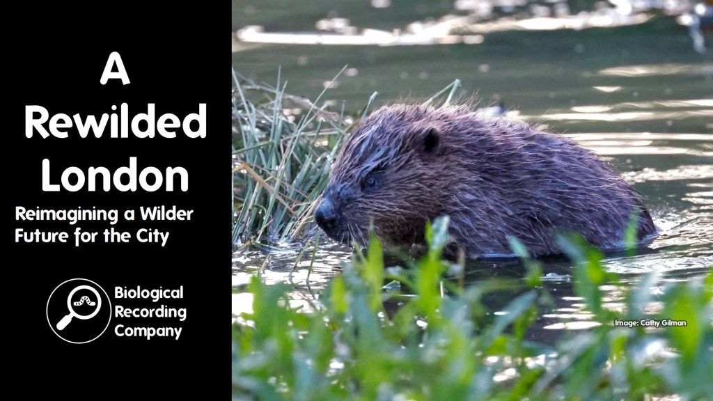 A Rewilded London: Reimagining a Wilder Future for the City ...