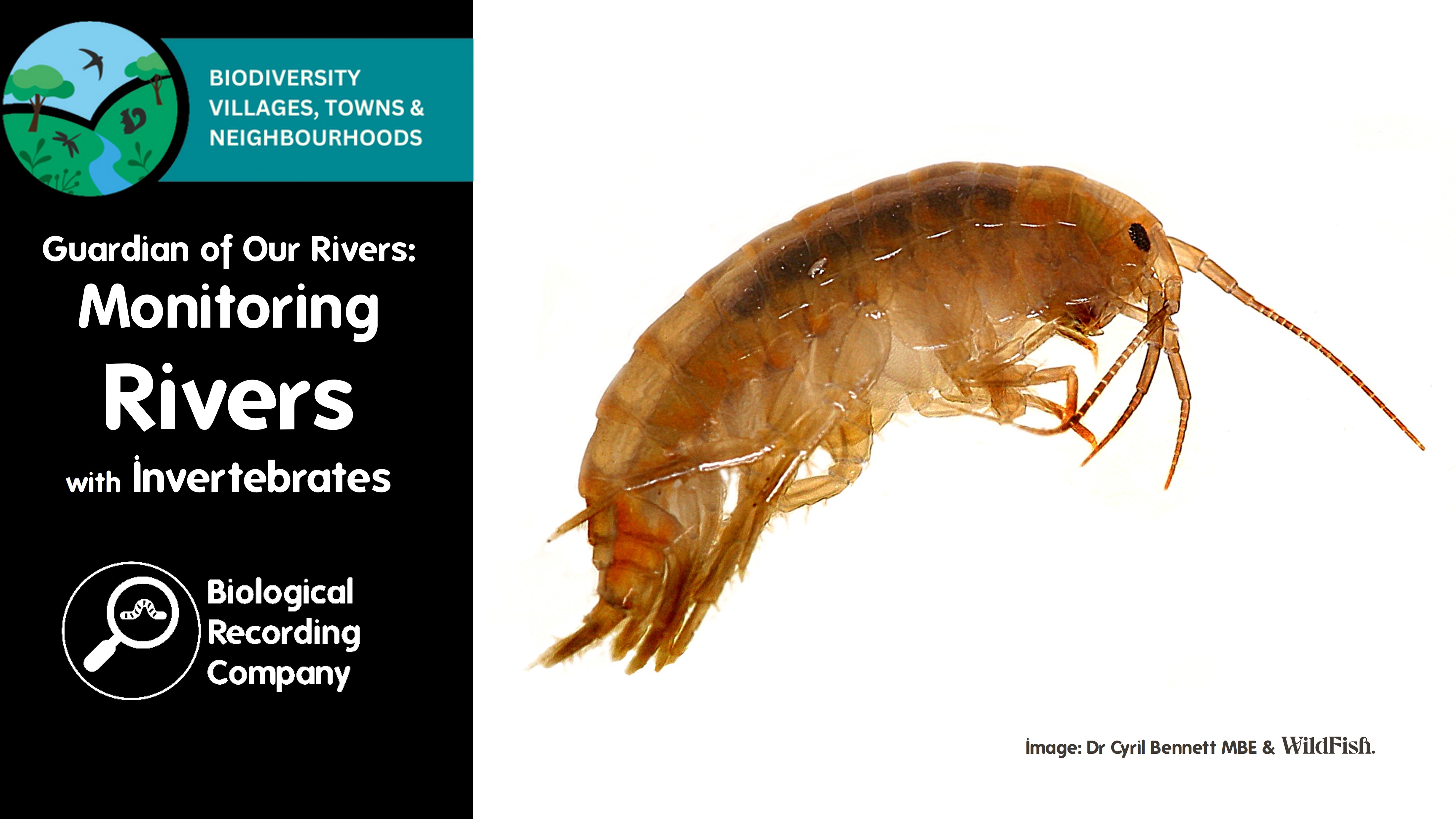 Biological Recording – Providing biological recording guidance ...