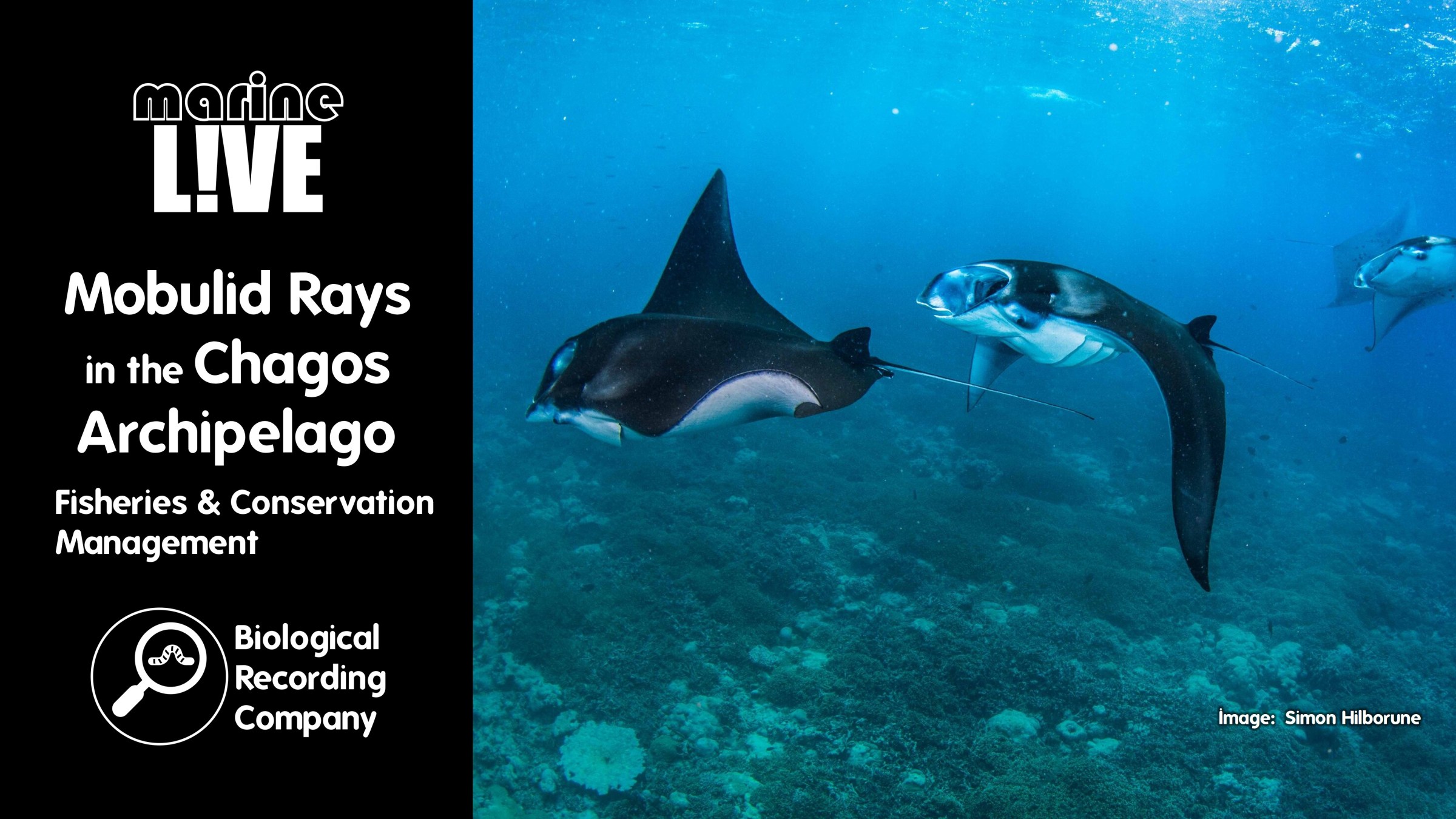 Biological Recording – Providing biological recording guidance ...