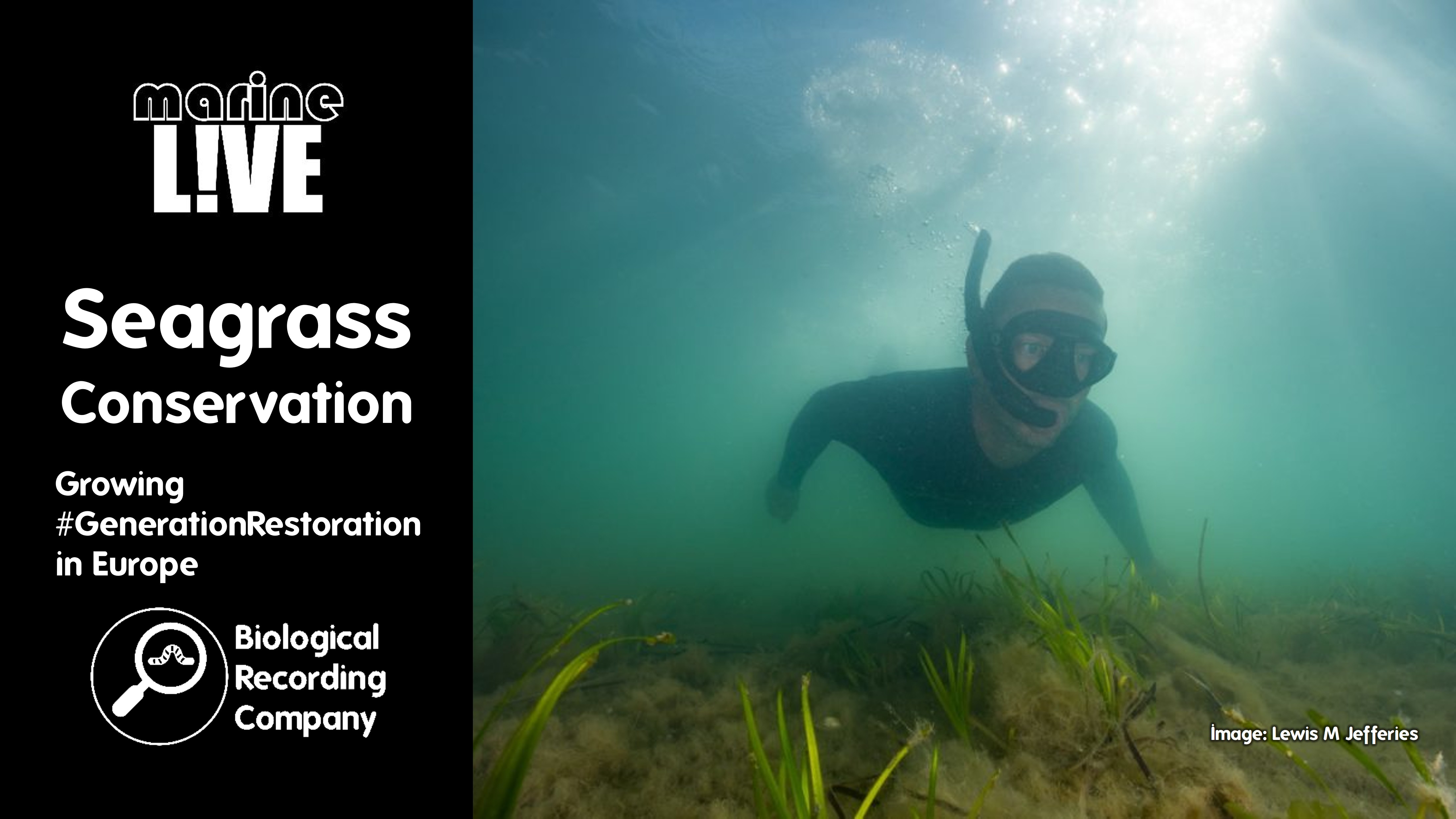 Seagrass Conservation: Growing #GenerationRestoration in Europe ...