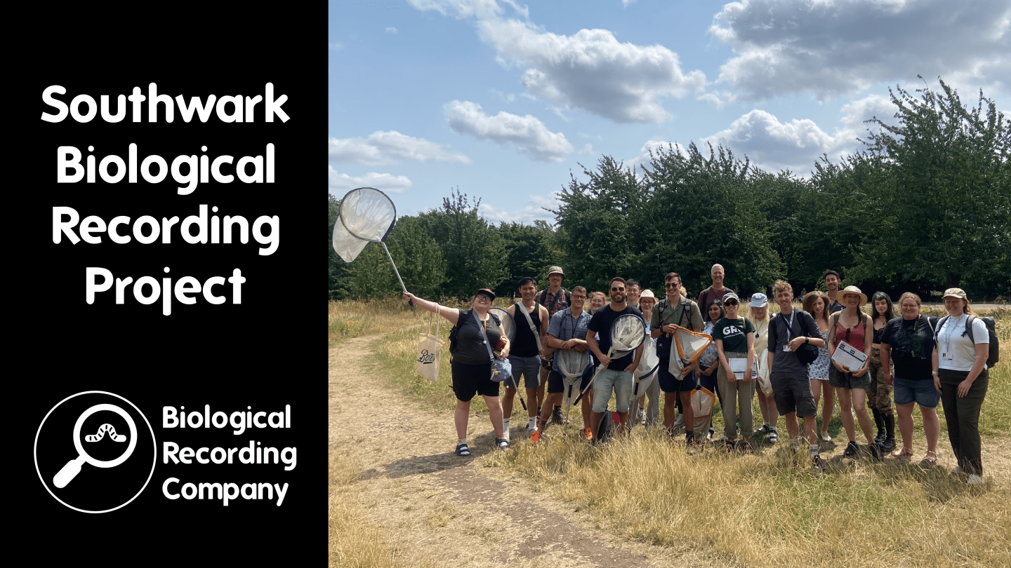 Biological Recording – Providing biological recording guidance ...