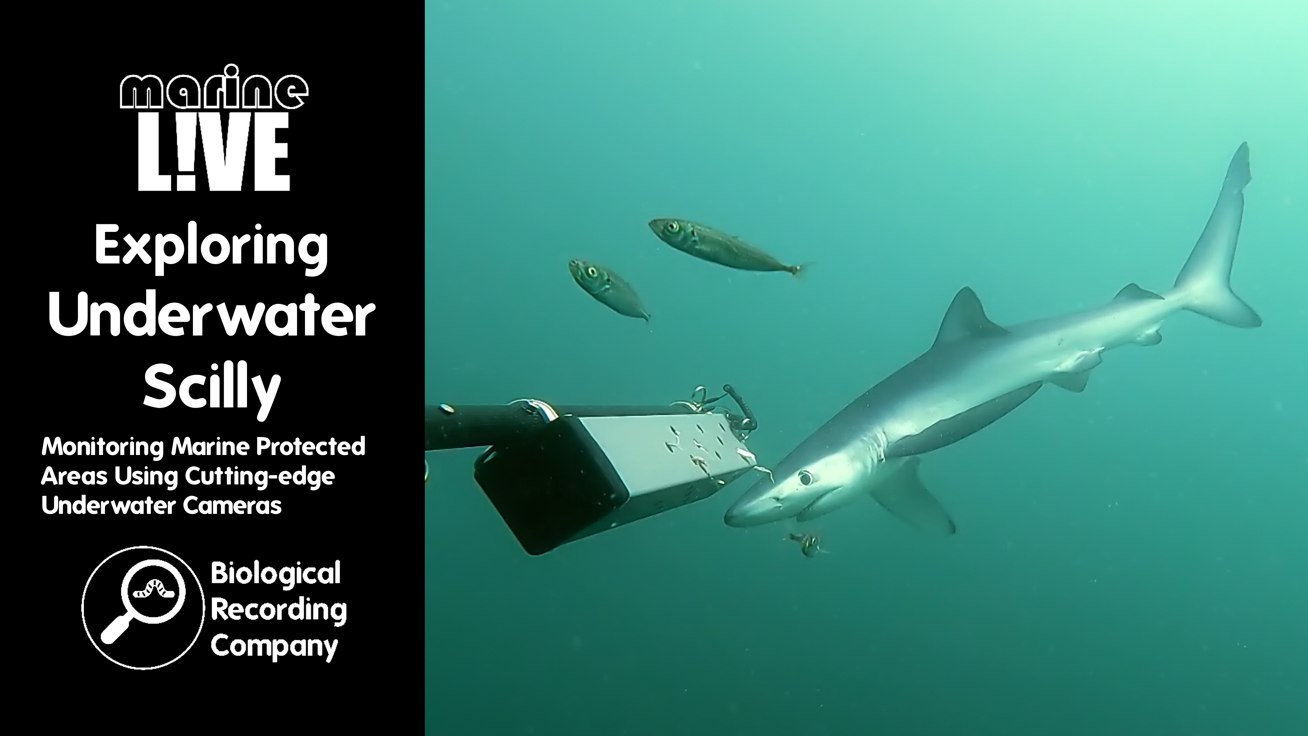 Exploring Underwater Scilly: Monitoring Marine Protected Areas Using ...