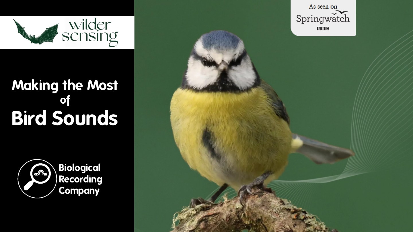 Making the Most of Bird Sounds – Biological Recording